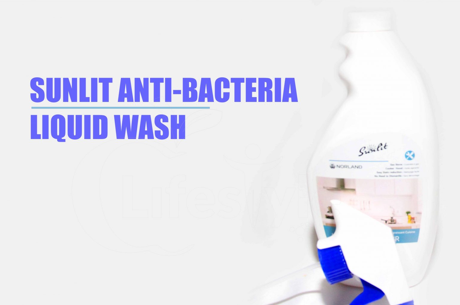 All Norland Products and Their Health Functions (2023) - Classy Lifestyle